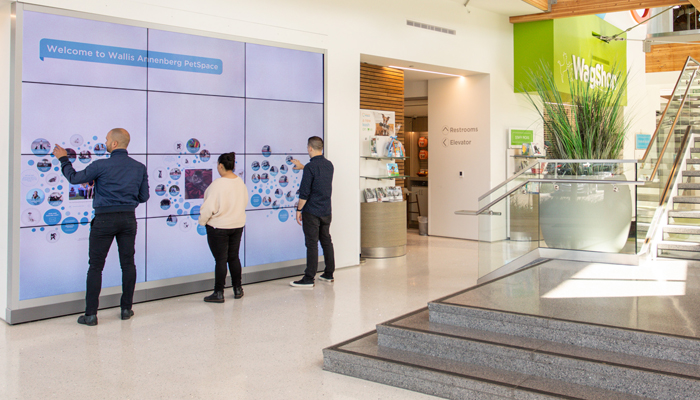 LCD & LED Digital Wall Displays & Signage Solutions | Planar